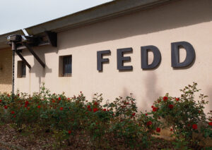 FEDD - AGÔN Electronics