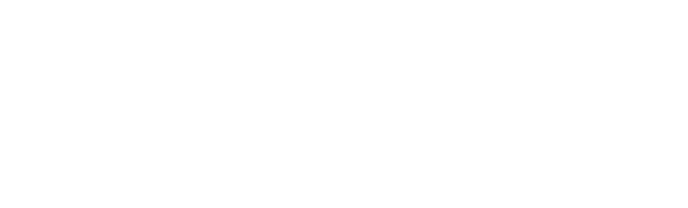 LEROY - AGÔN Electronics