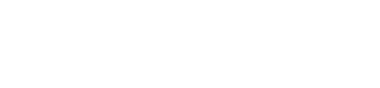 Team31 - AGÔN Electronics